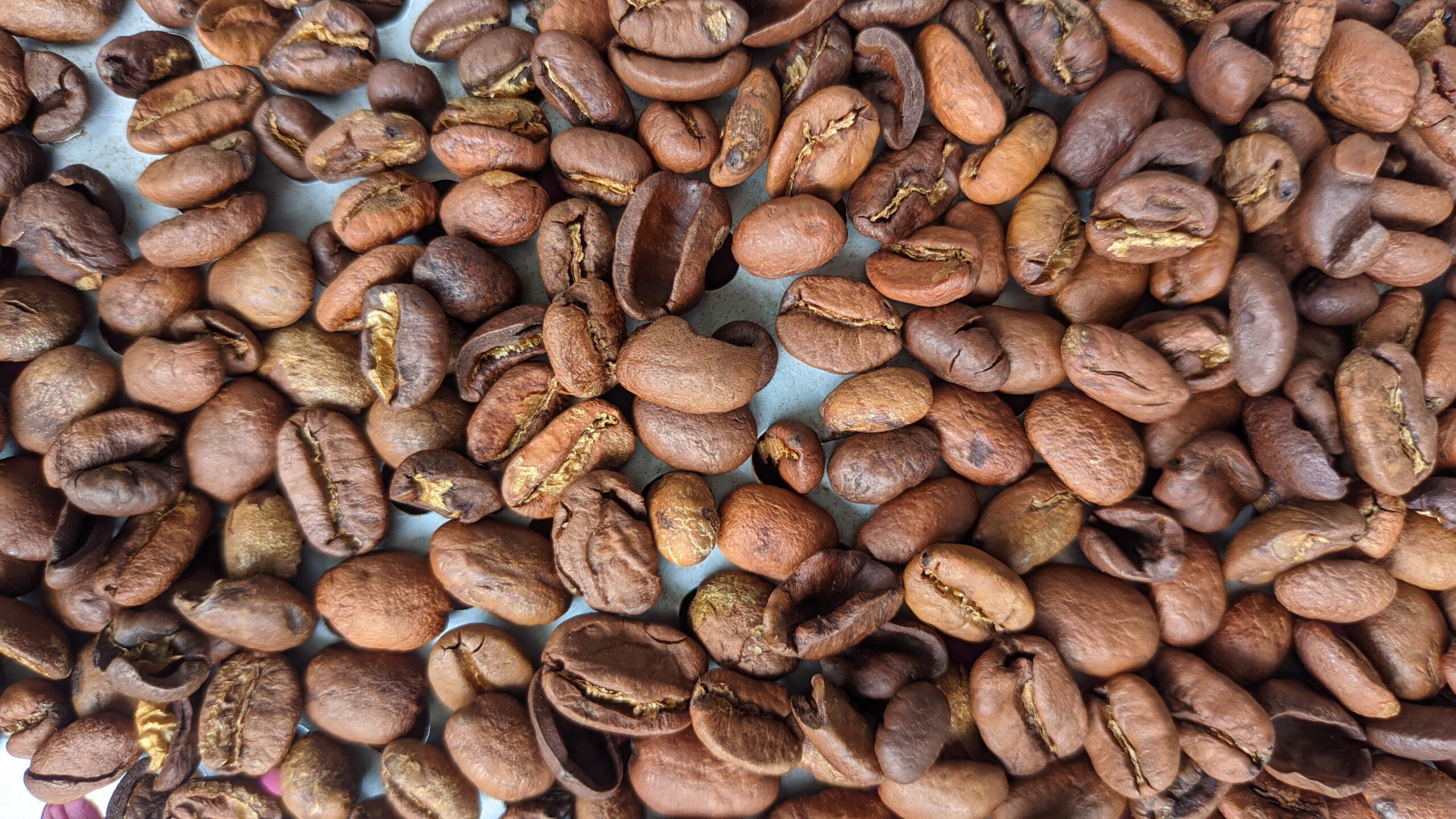 Kopi Quaker - KI KODIRON COFFEE ROASTERS